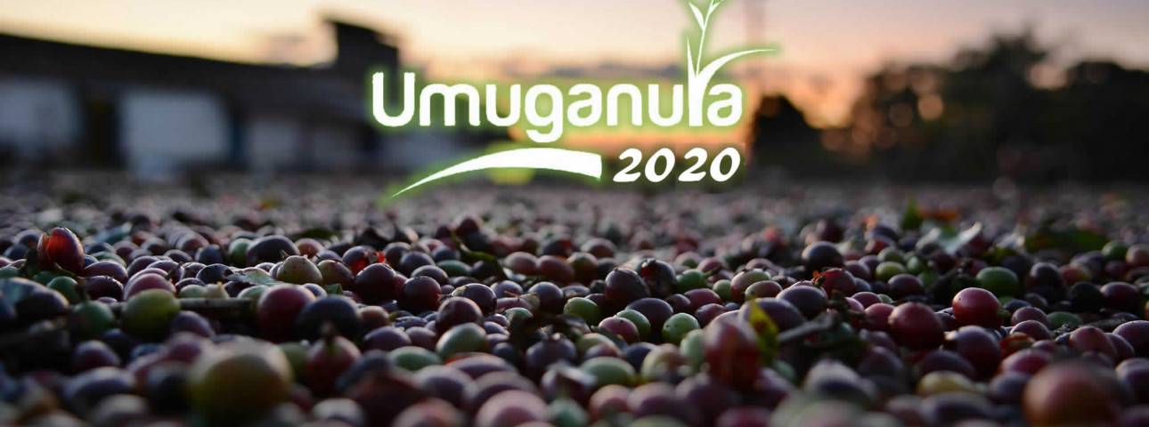 Worldwide Public Holidays Friday August 7th 2020 | Office Holidays